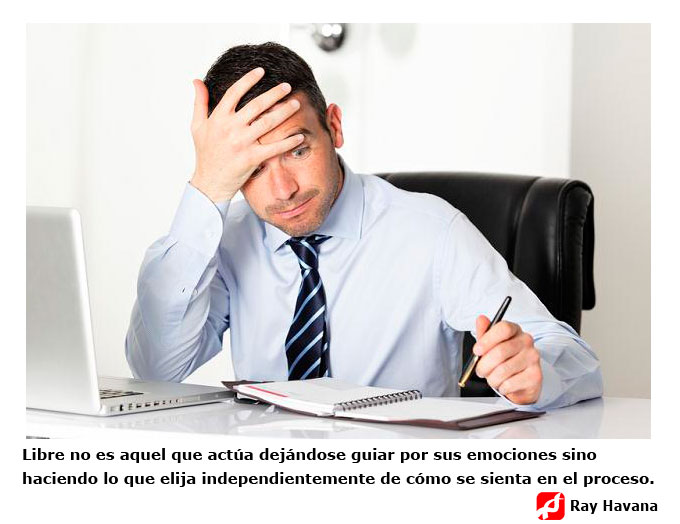 ¿qué es ser libre? – DINÁMICAS SOCIALES